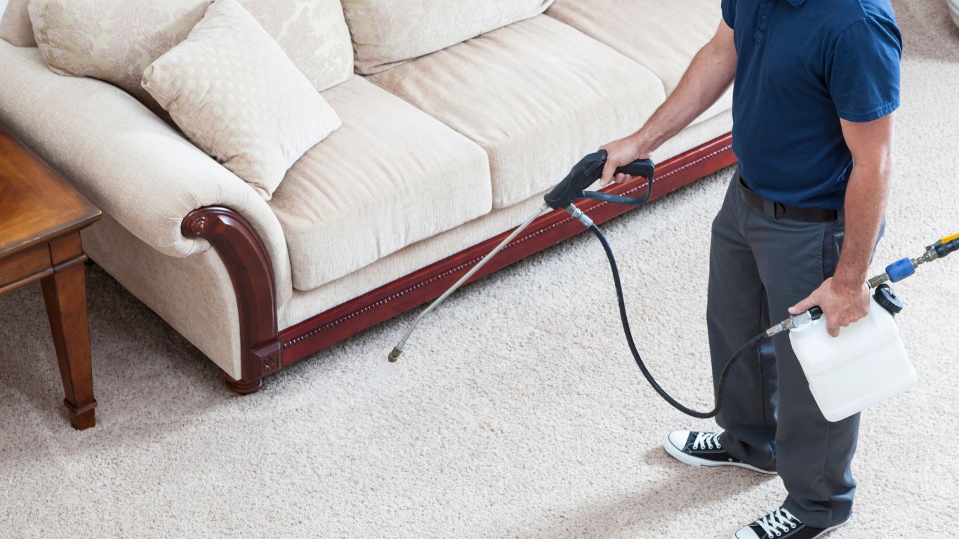 Carpet Flea Treatment - Steam Clean Team