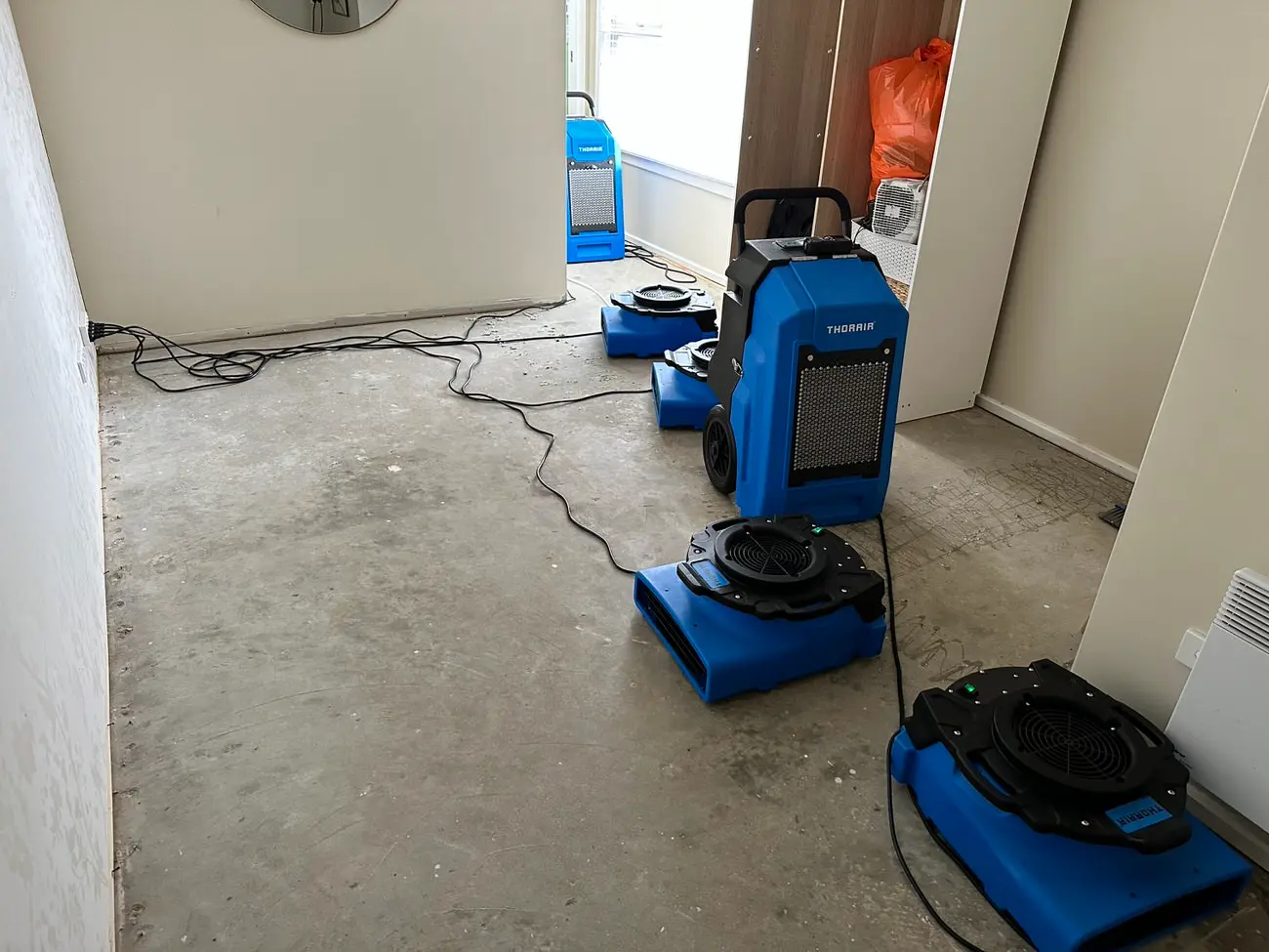 Water Damage Lindisfarne - Steam Clean Team